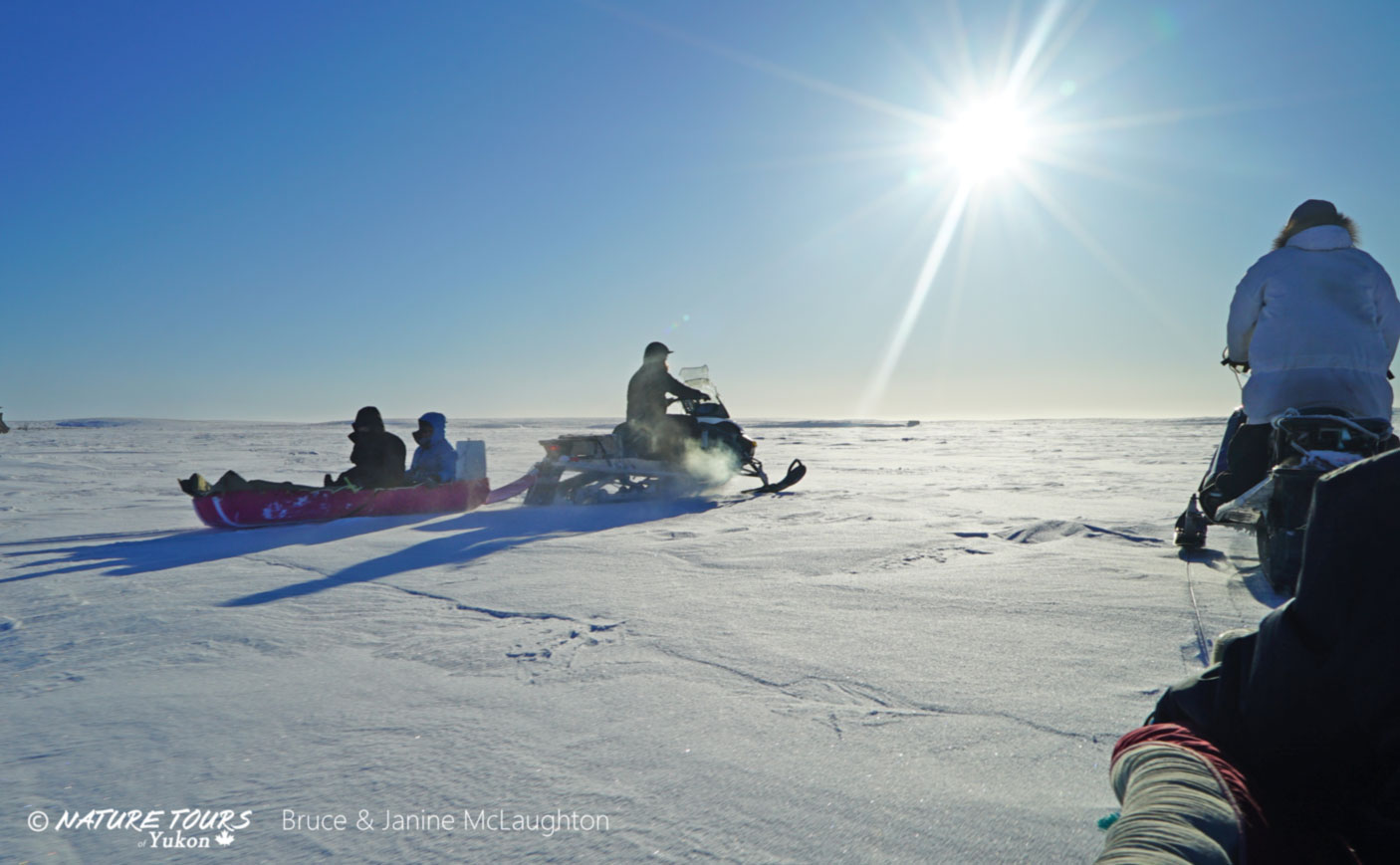 Pingo Tour | Nature Tours Yukon | Canada